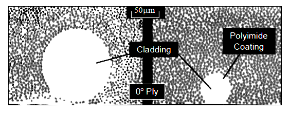 Reduced-cladding Fiber FBG/Thin Cladding Fiber FBG